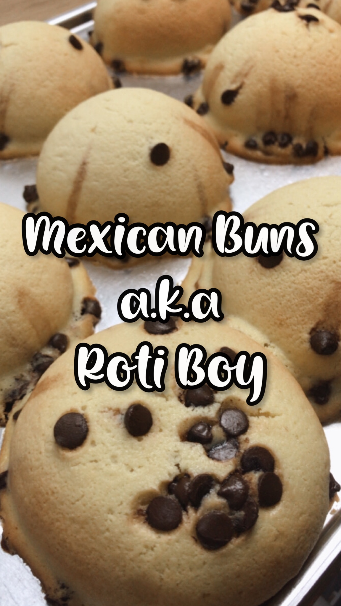 Roti Boy with Vanilla Toppings & Chocolate Chips Thermomix - Diari Dapur